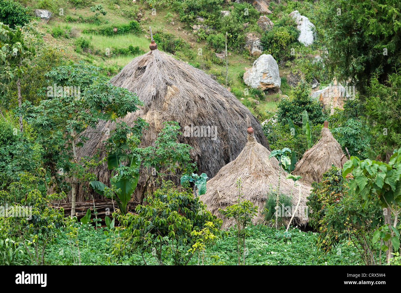 Dorze house, arba minch, ethiopia Stock Photo - Alamy