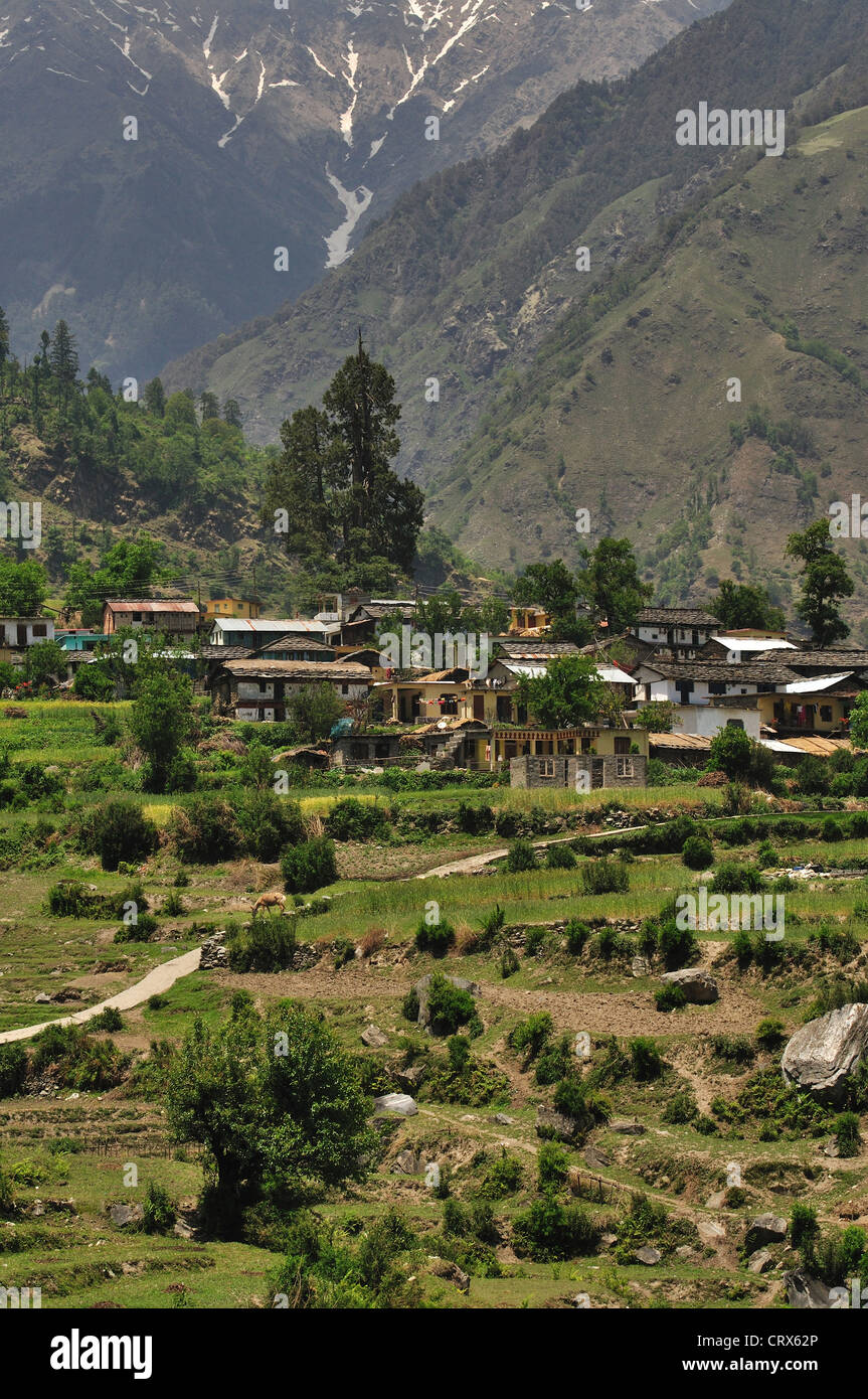 Urgam village, Himalayan village Stock Photo - Alamy