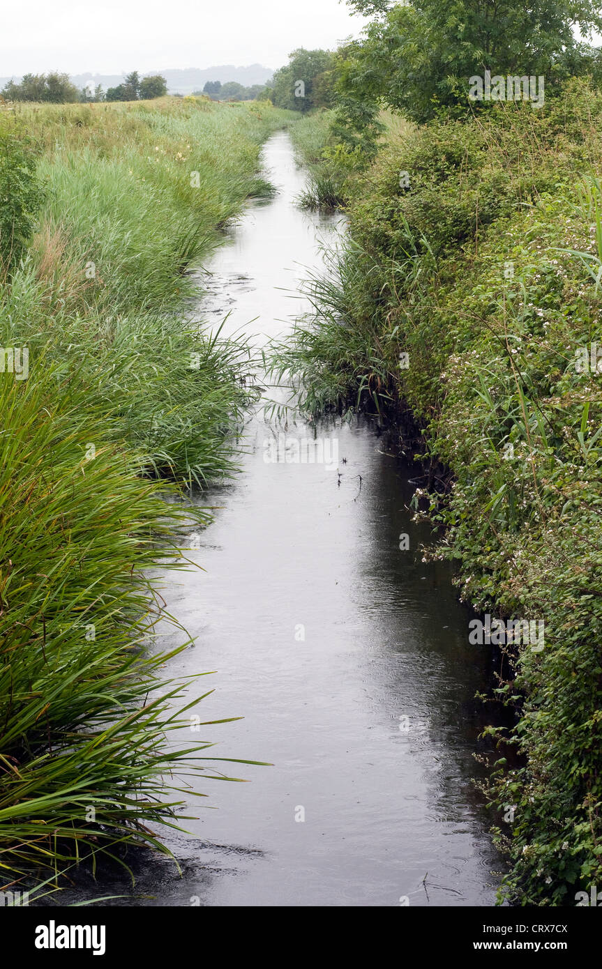 Leat on somerset levels hi-res stock photography and images - Alamy
