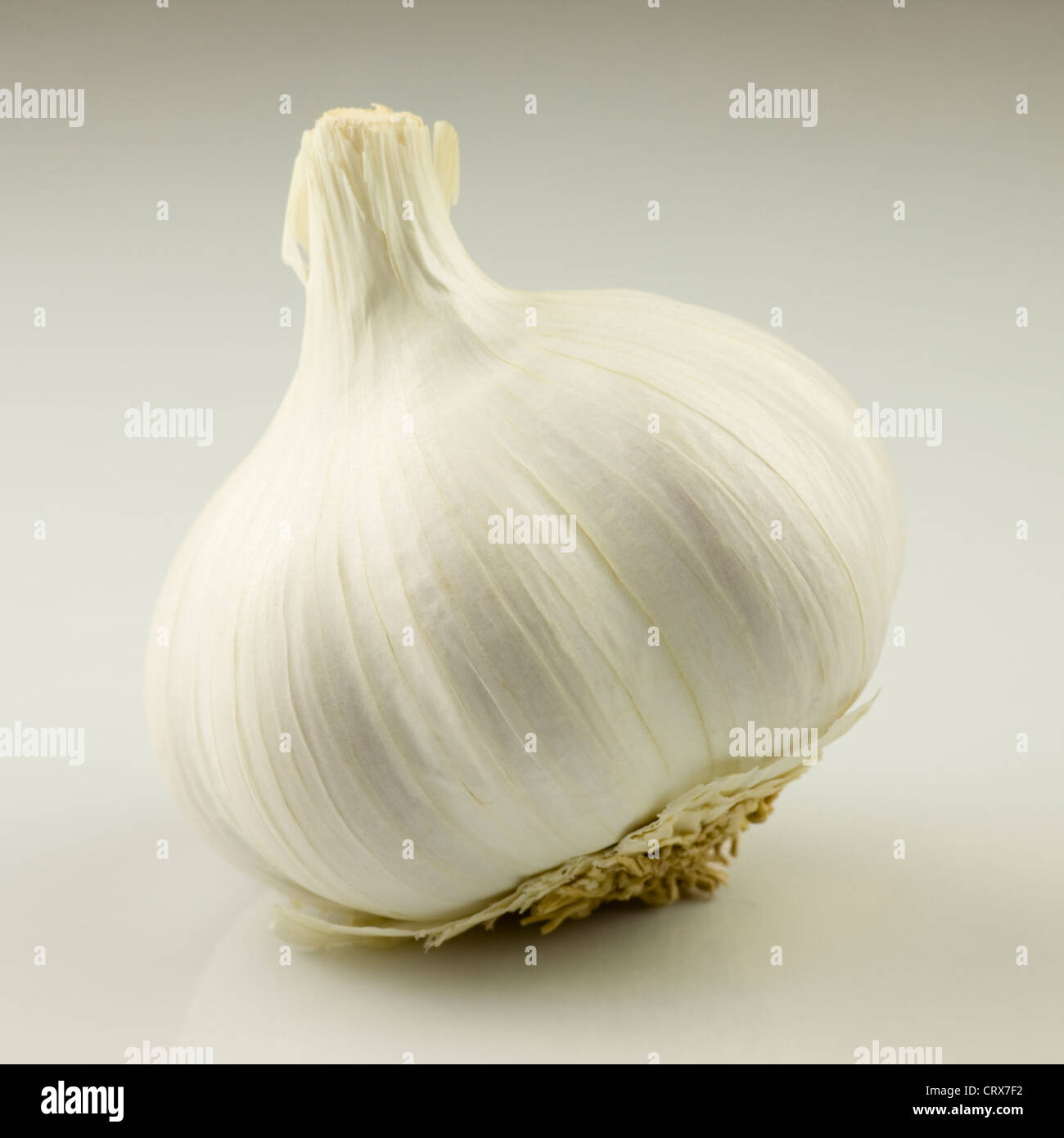 Whole bulb hi-res stock photography and images - Alamy