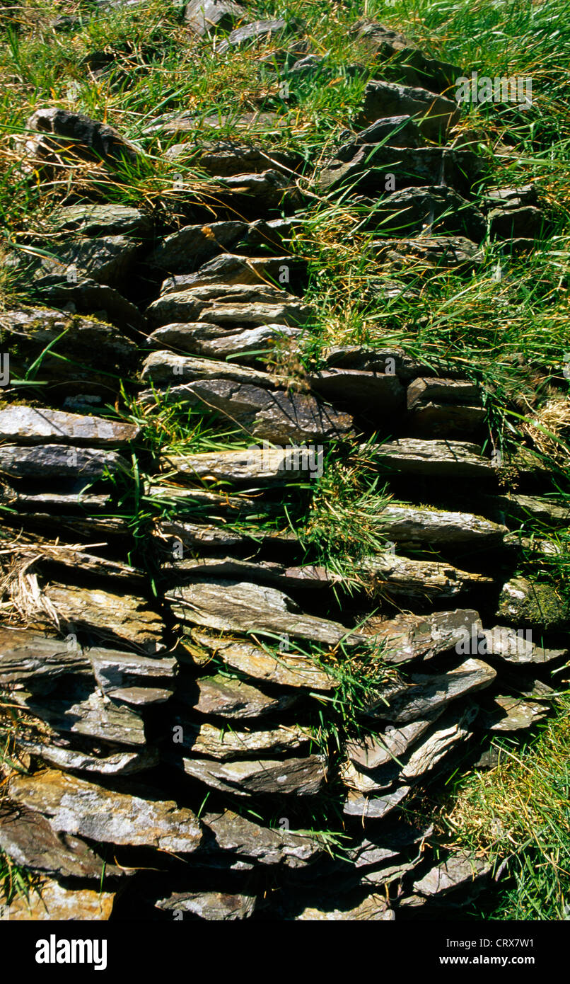 Lynmouth Devon Stone Wall With Grass Growing Through From Bank Stock ...