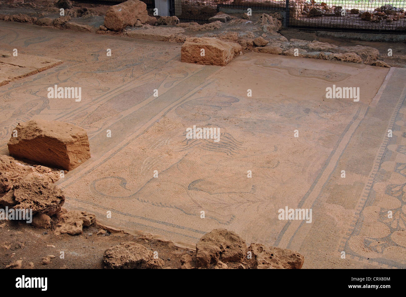 Roman floor mosaic hi-res stock photography and images - Alamy