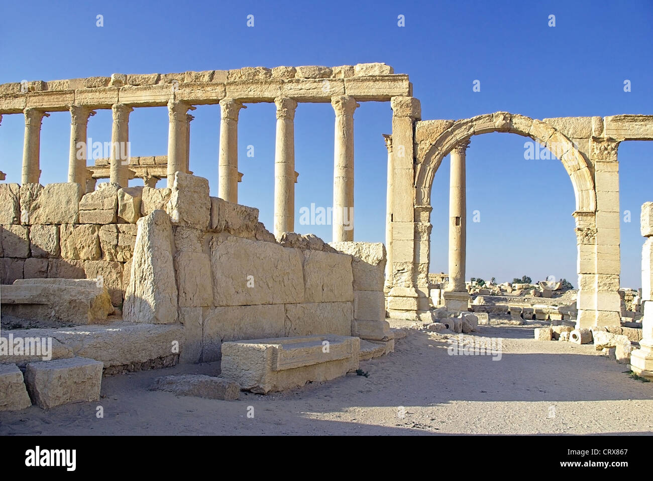 ancient roman ruins at the archaeological site of Palmyra, in the ...