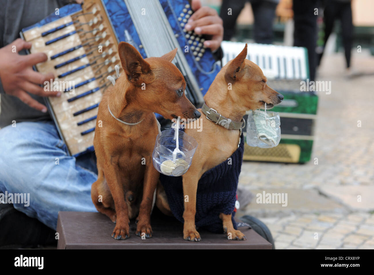 Mendicity hi-res stock photography and images - Alamy