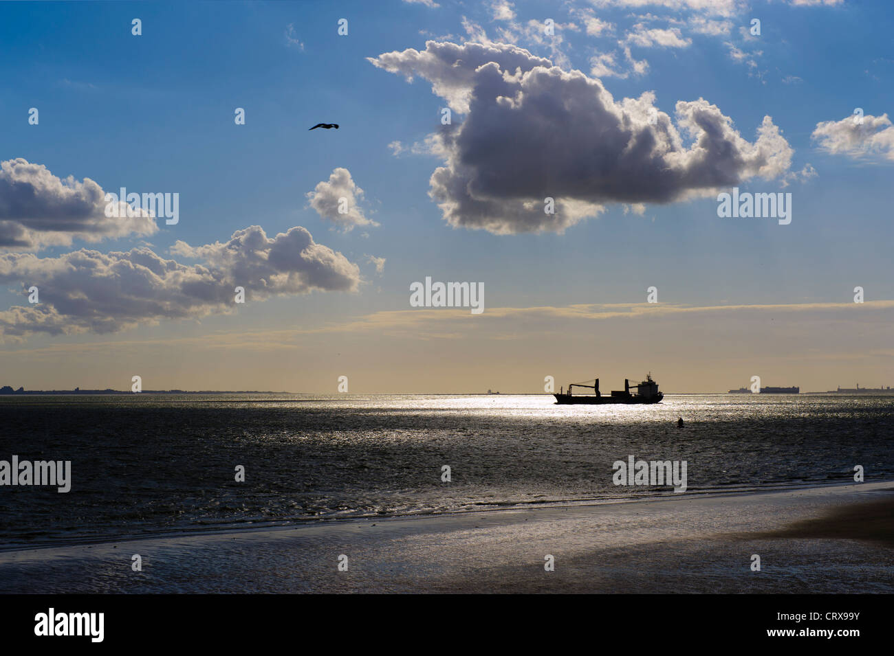 Cargo ship , backlight and low tide on the Westerschelde, near Borssele ...