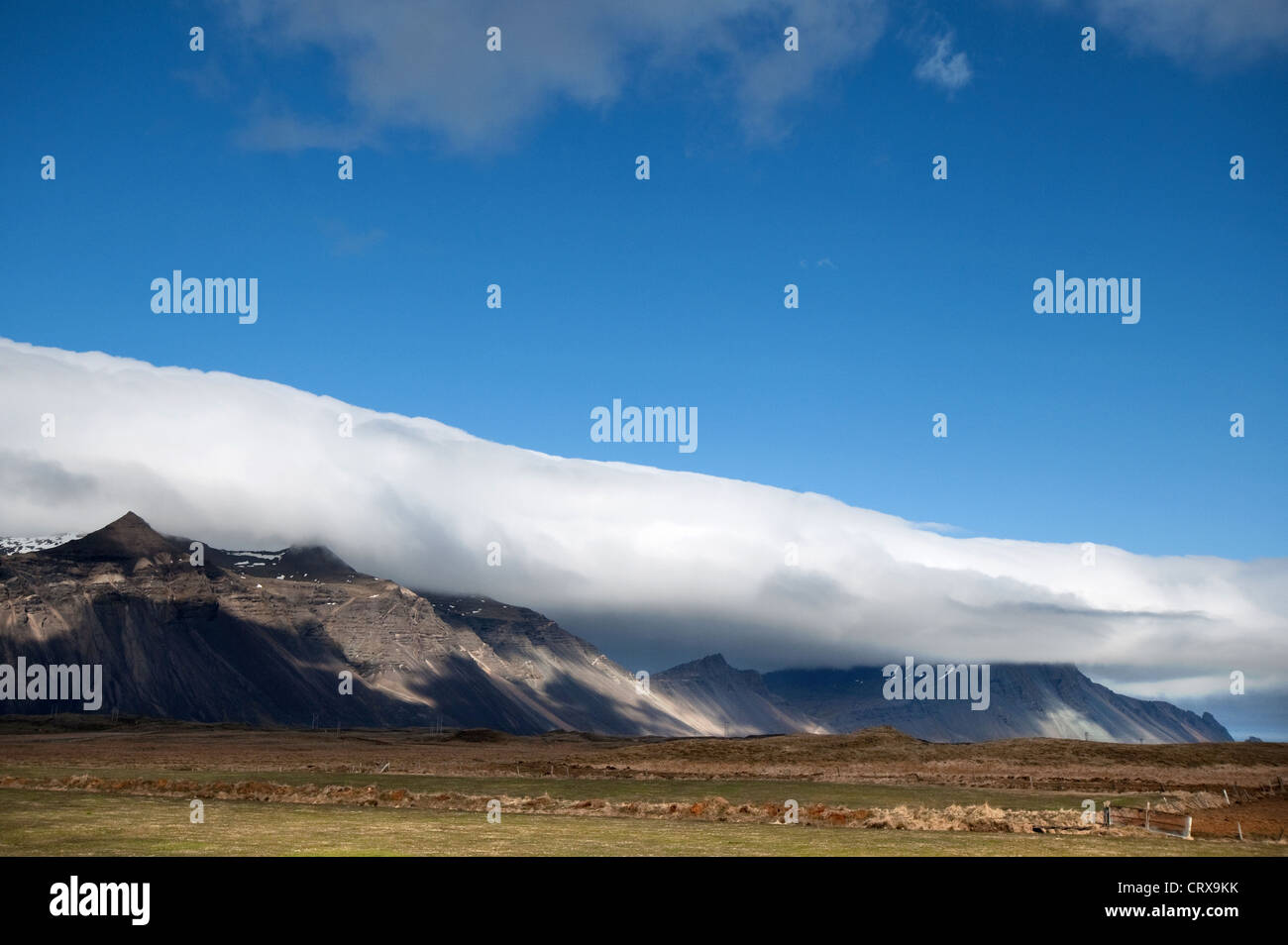 mountains,south coast near Hoefn with icelandic horses, Iceland, Europe ...