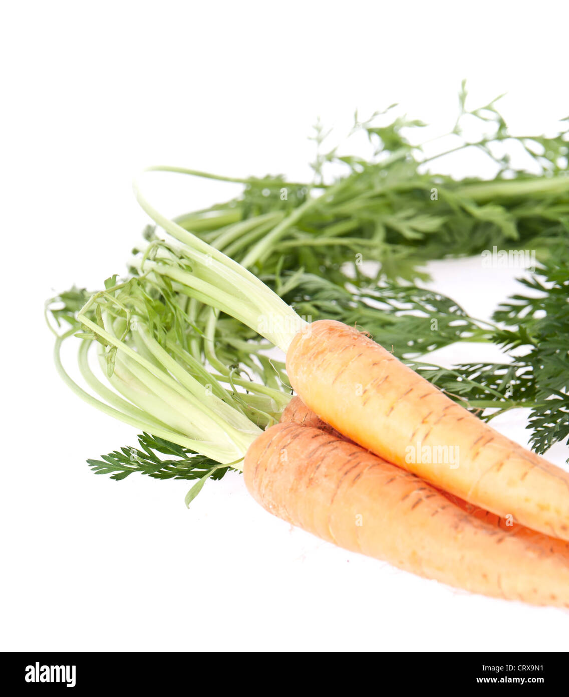 Bundle of carrots with herb isolated on white background Stock Photo ...