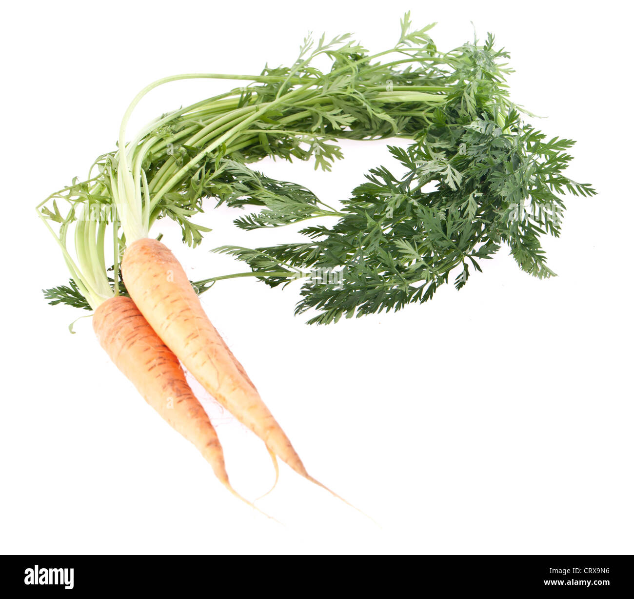 Bundle of carrots with herb isolated on white background Stock Photo ...