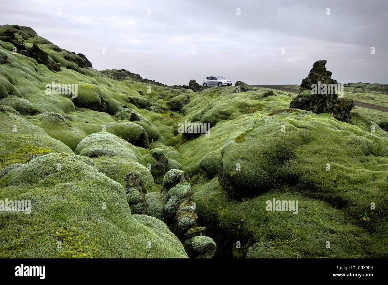 Eldhraun lava field, moss-covered lava caps, west of Kirkjubaer ...