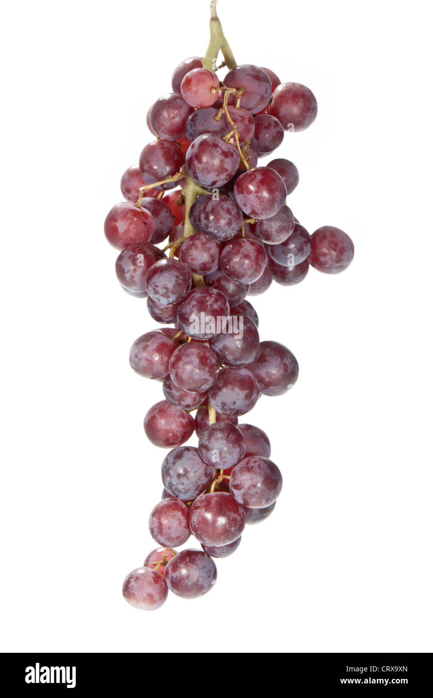 Grapes isolated on white background Stock Photo - Alamy