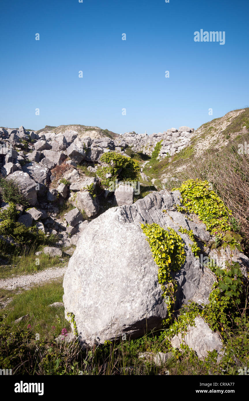 Tout quarry sculpture park and nature reserve hi-res stock photography ...