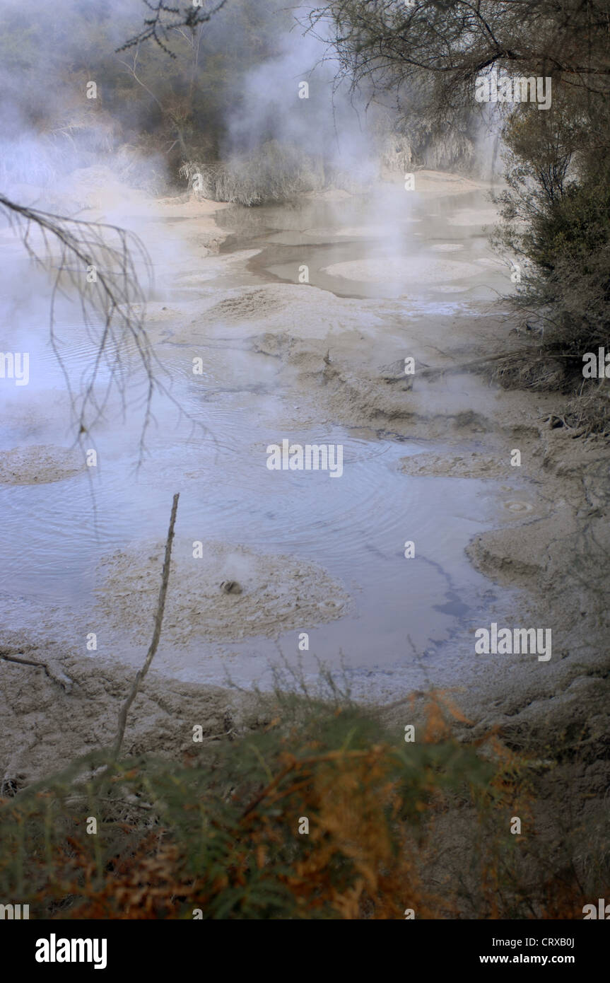 Mud Pools, Wai-O-Tapu, Thermal, Wonderland, NZ Stock Photo - Alamy