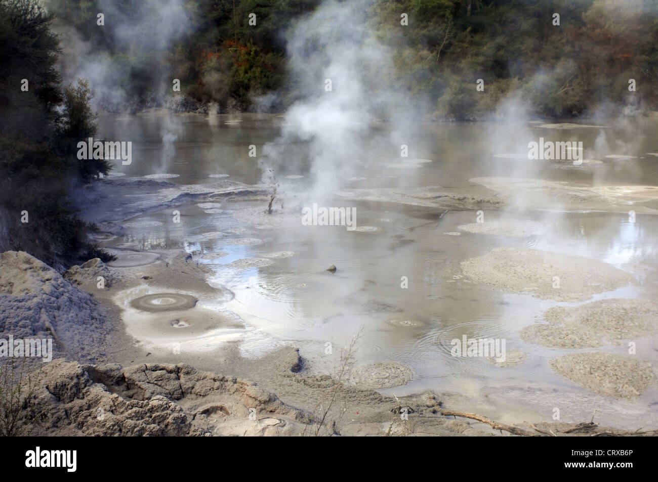 Mud Pools, Wai-O-Tapu, Thermal, Wonderland, NZ Stock Photo - Alamy