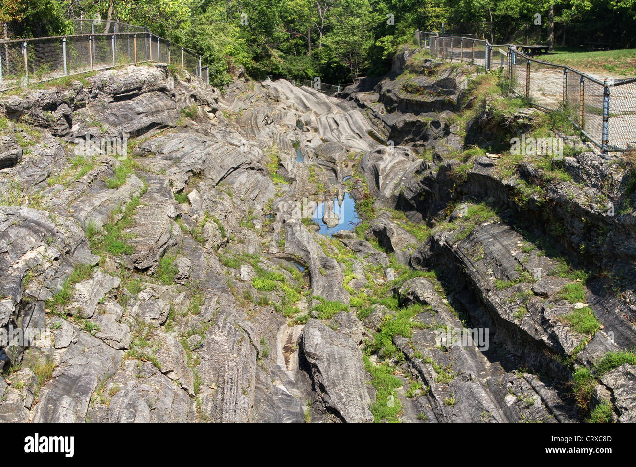 Glacial Grooves carved into Limestone rock. Glacial Grooves State ...