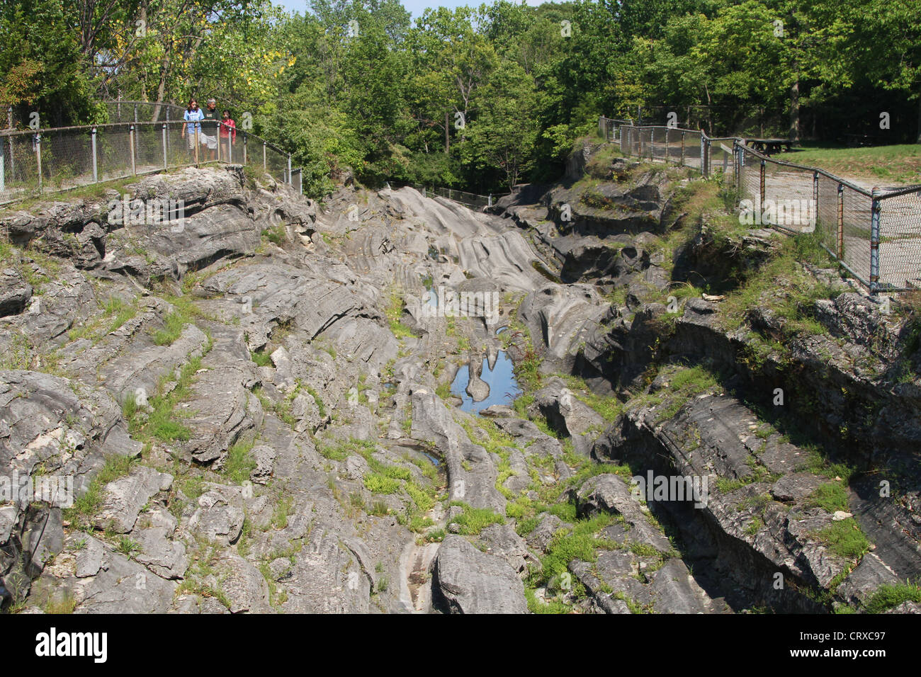 Glacial Grooves carved into Limestone rock. Glacial Grooves State ...