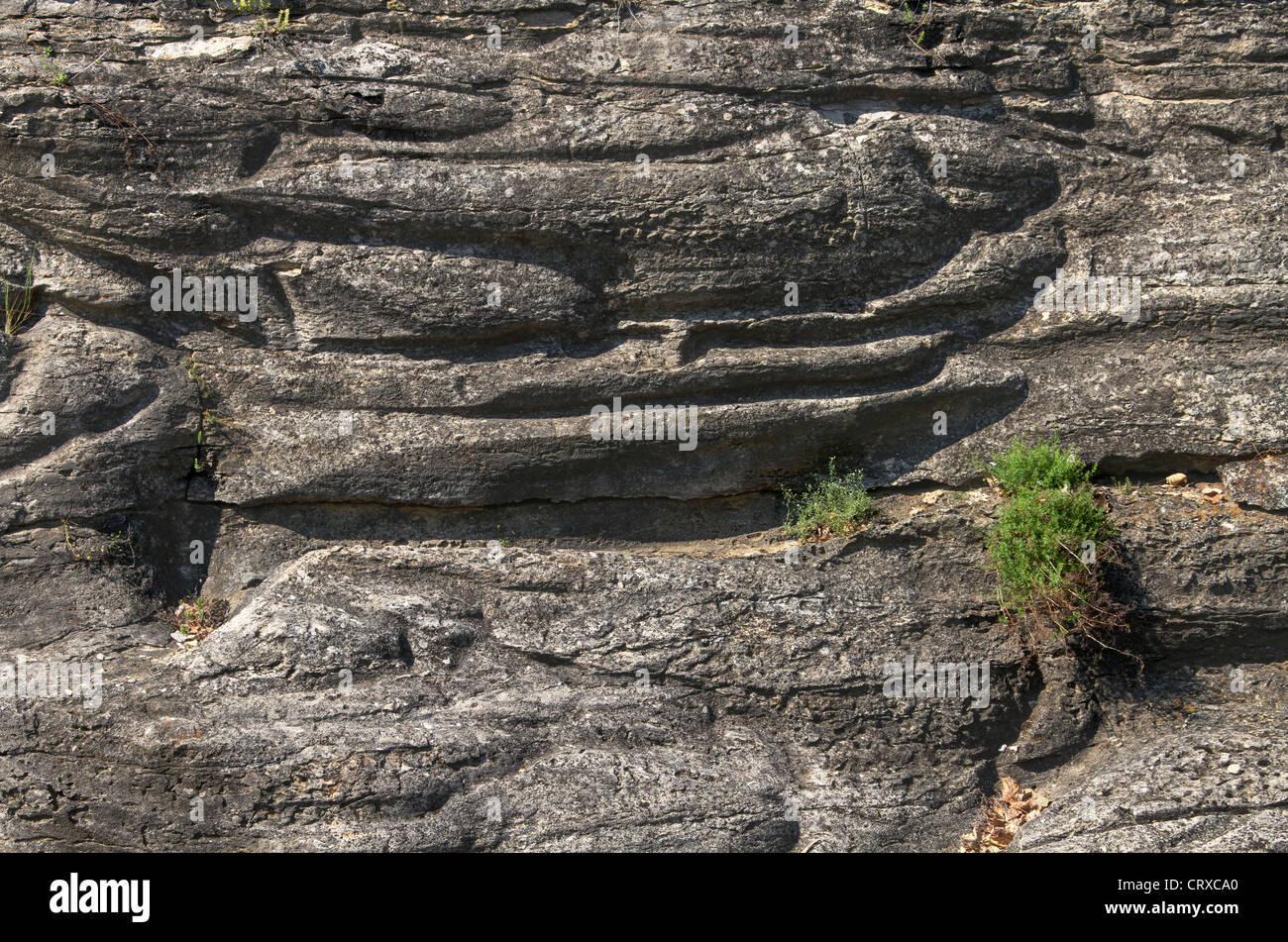 Glacial Grooves carved into Limestone rock. Glacial Grooves State ...