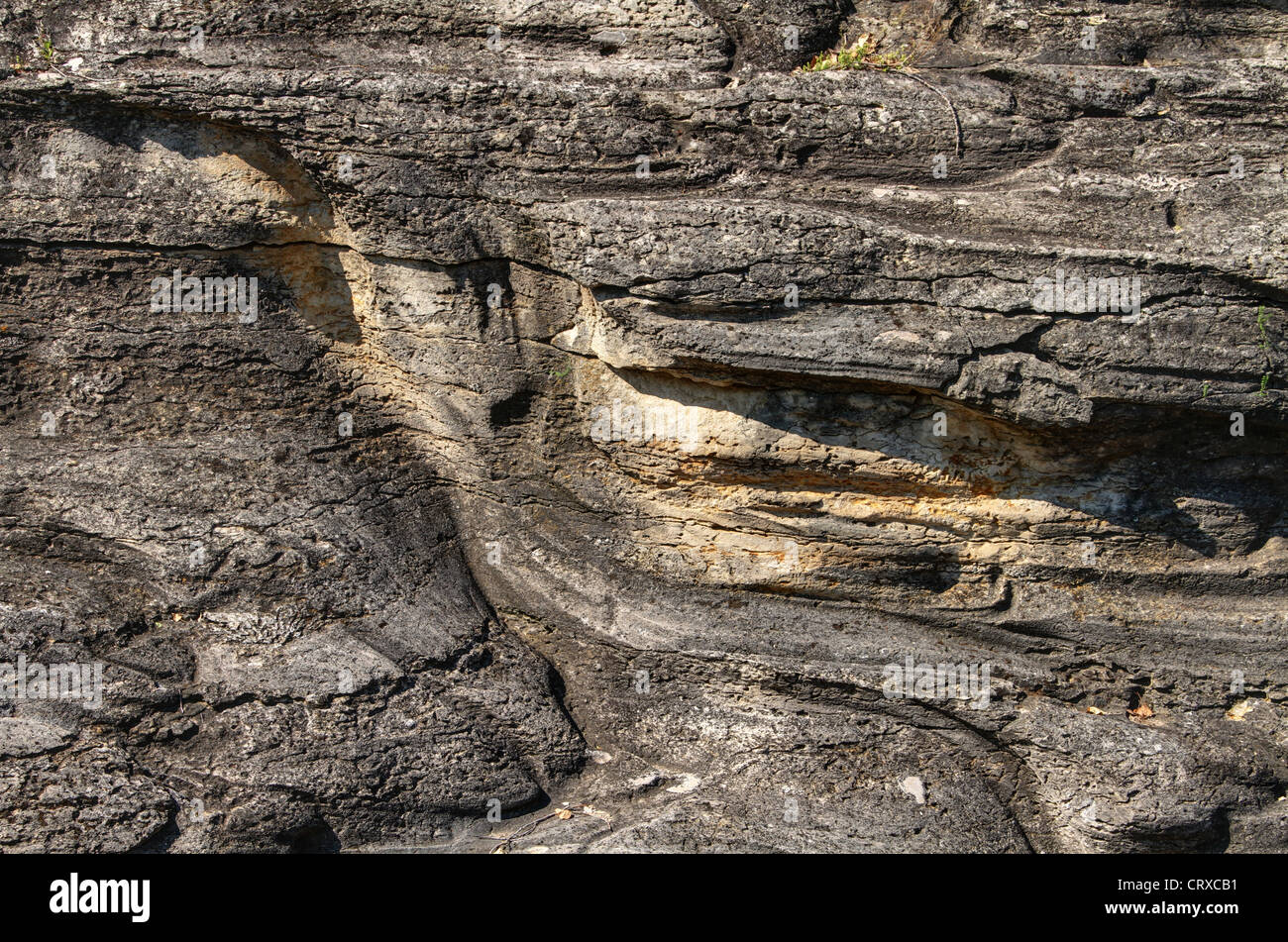 Glacial Grooves carved into Limestone rock. Glacial Grooves State ...