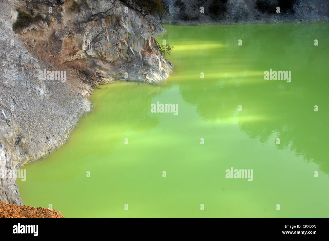 Devil's Cave pool at Wai-O-Tapu geothermal area in New Zealand Stock ...