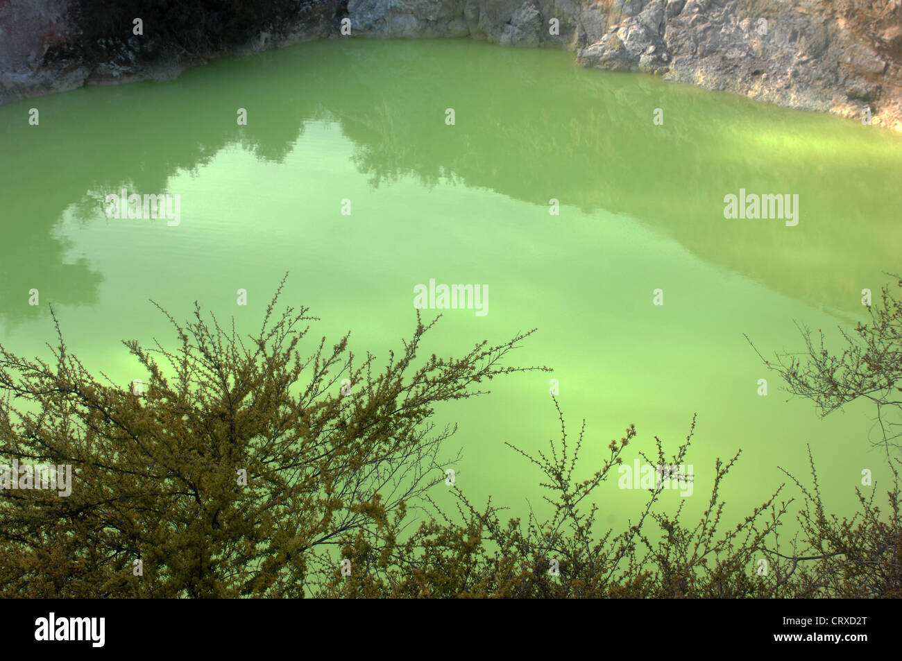 Devil's Cave pool at Wai-O-Tapu geothermal area in New Zealand Stock ...