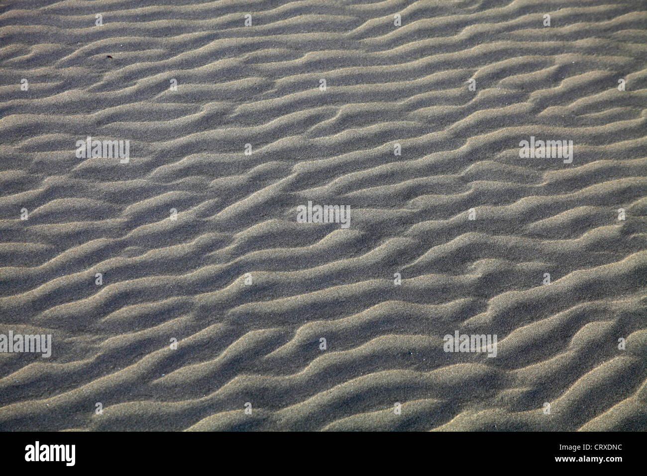 Ripple marks on the sands generate by wind in Kujukuri Beach Chiba ...