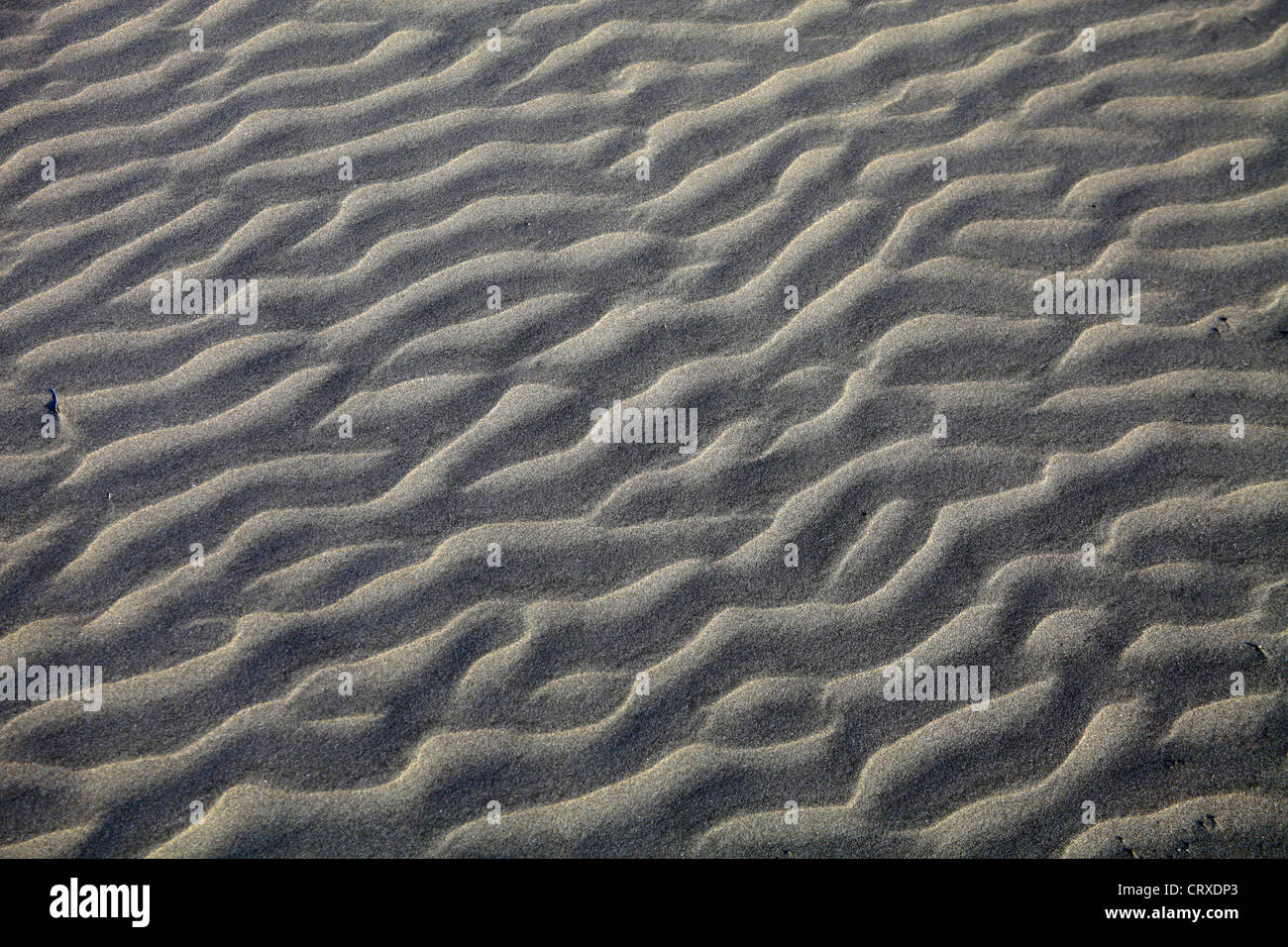 Ripple marks on the sands generate by wind in Kujukuri Beach Chiba ...