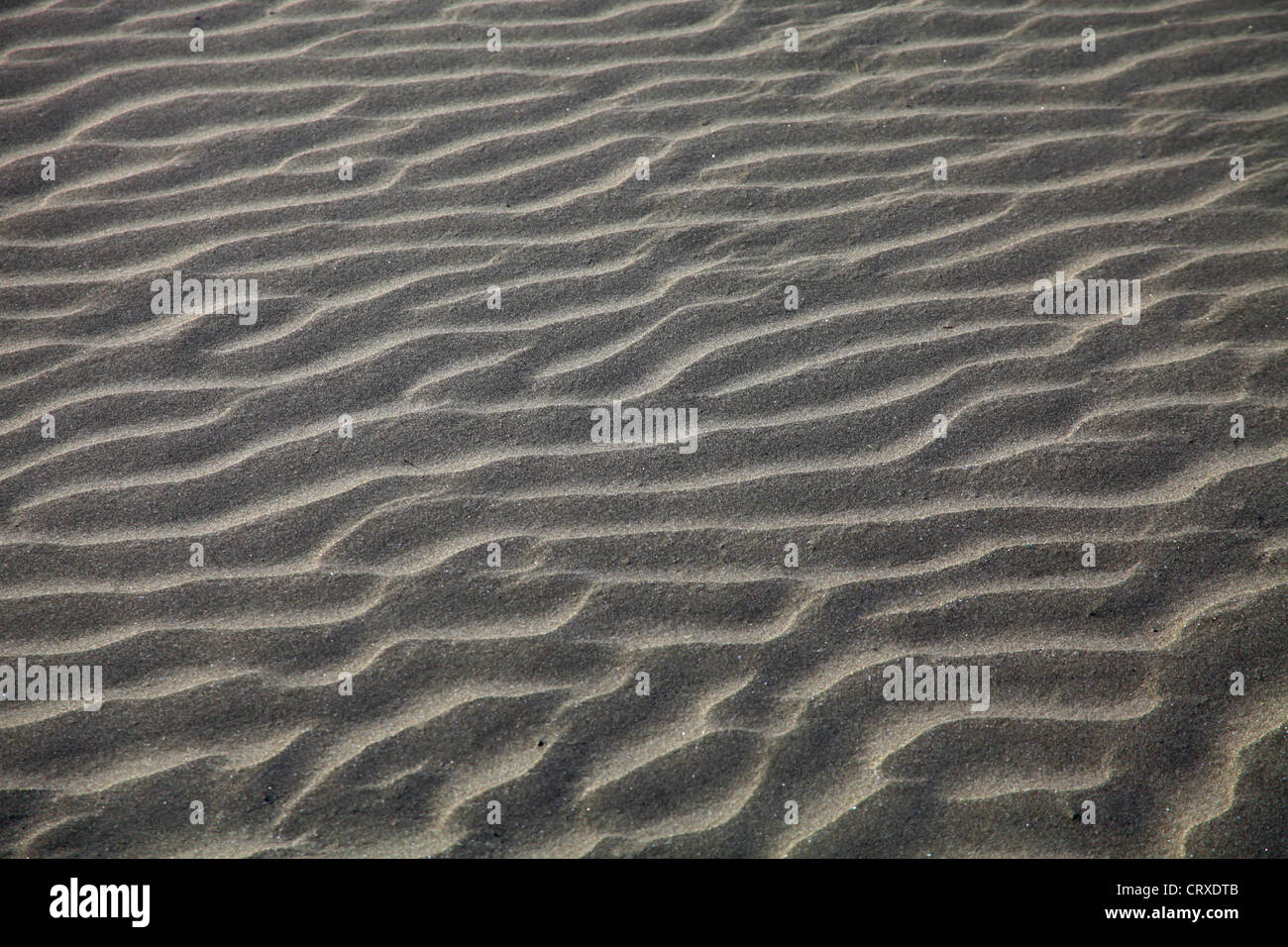Ripple marks on the sands generate by wind in Kujukuri Beach Chiba ...