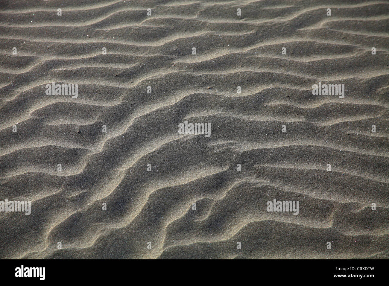 Ripple marks on the sands generate by wind in Kujukuri Beach Chiba ...