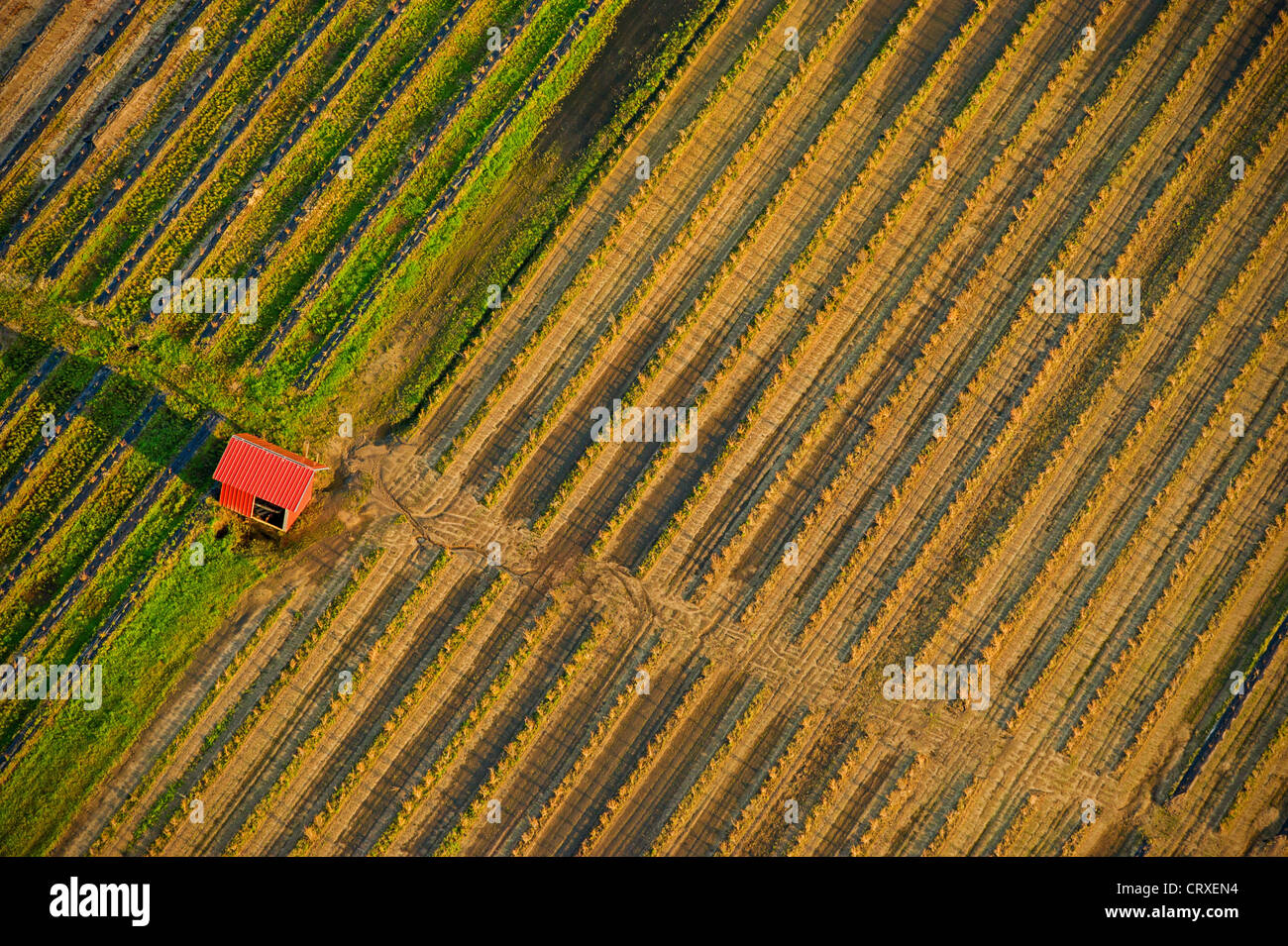 Aerial view of farm house High Resolution Stock Photography and Images ...