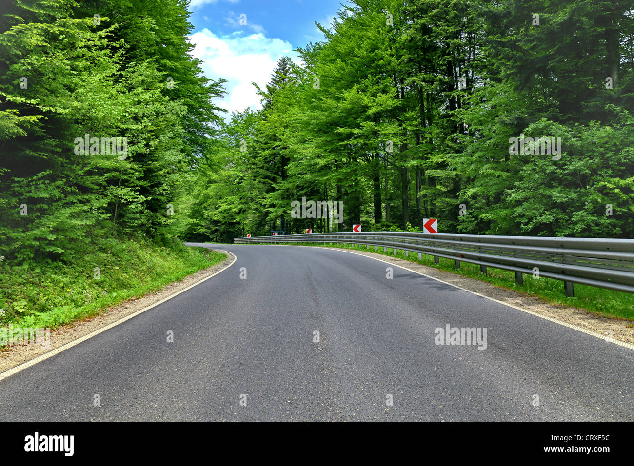 road in a green forest Stock Photo - Alamy