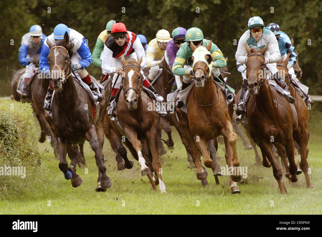 The horses in the final bend Stock Photo - Alamy