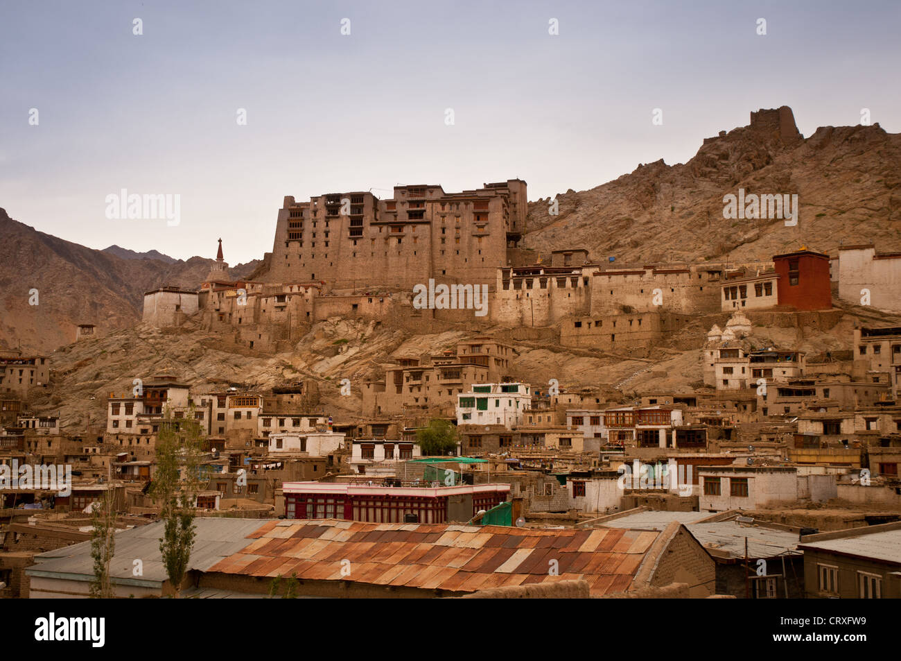 The town of Leh with the palace in the background Stock Photo - Alamy