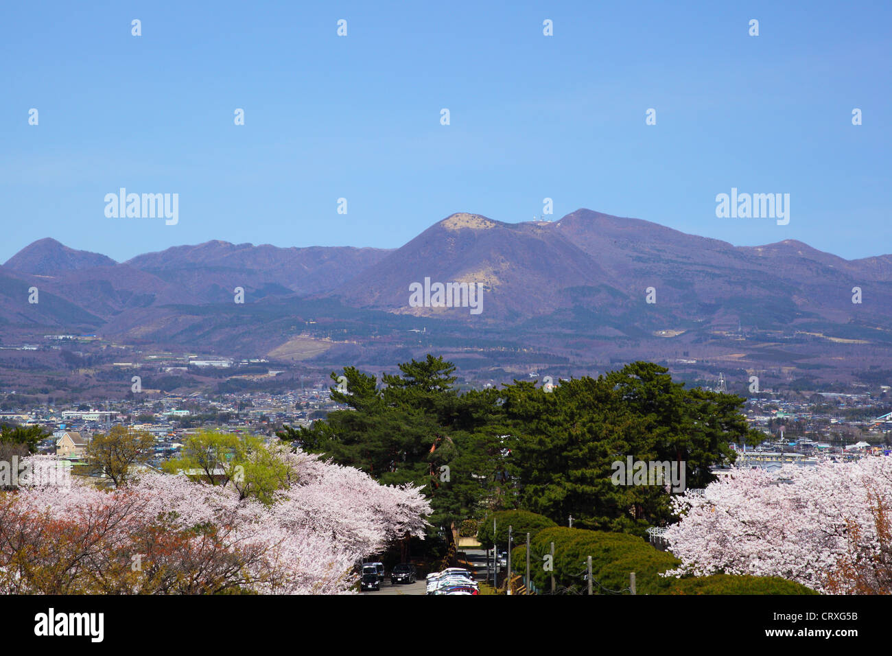 Mt. Akagi and cherry tree in Gunma, Japan Stock Photo - Alamy