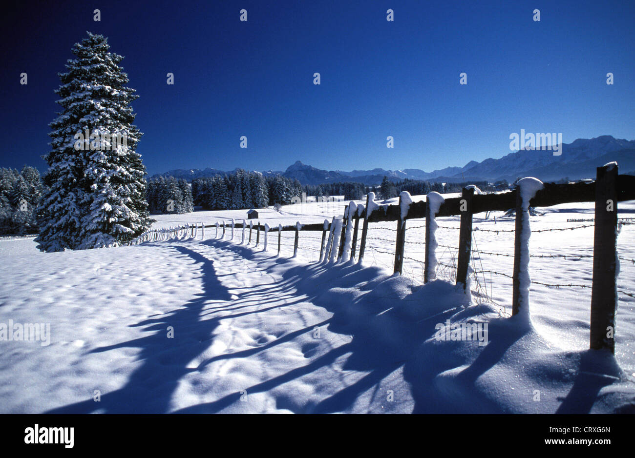 Allgaeuer alps hi-res stock photography and images - Alamy
