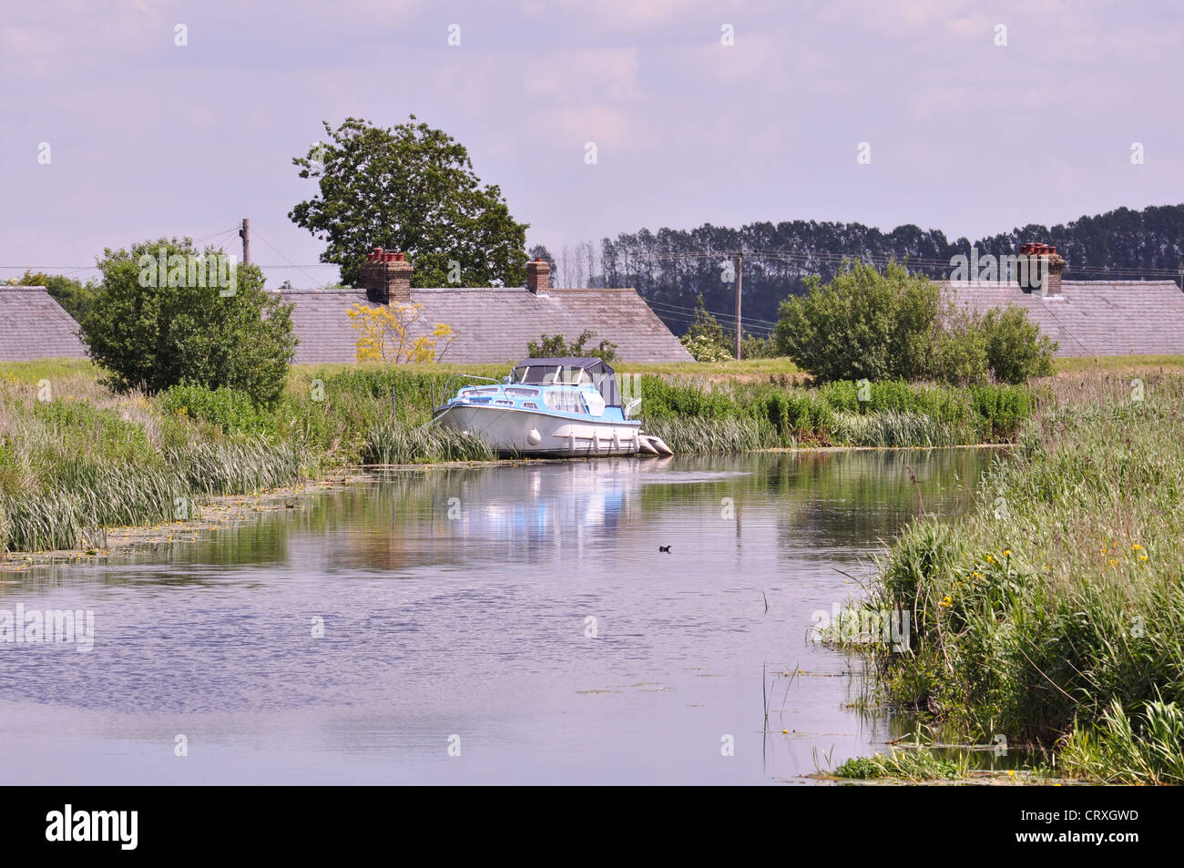 The River Lark at Prickwillow, Cambridgeshire, England Stock Photo - Alamy