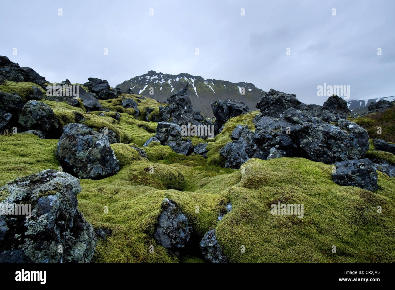 Lava fields, Snaefellsnes Peninsula, Iceland, Polar Regions Stock Photo ...