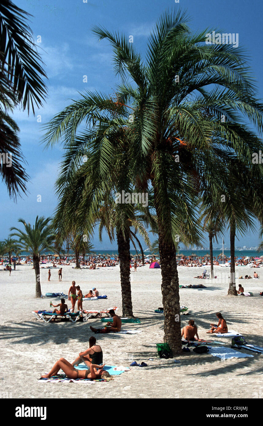 Spain, Mallorca, El Arenal beach area Stock Photo - Alamy