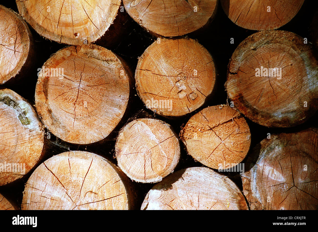 Holzstaemme hi-res stock photography and images - Alamy