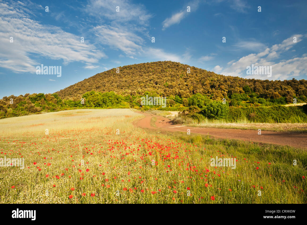 Croscat Volcano in the Garrotxa Volcanic Zone, Catalonia, Spain Stock ...