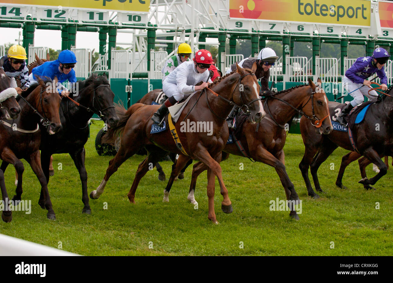Starting gate ascot hi-res stock photography and images - Alamy