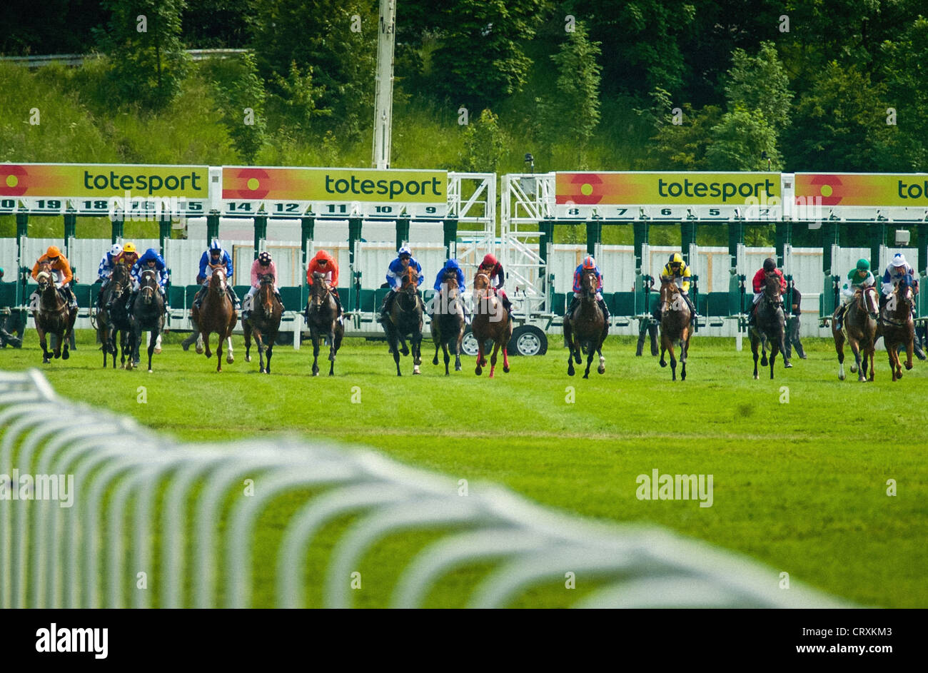 Horse racing start gate hi-res stock photography and images - Alamy