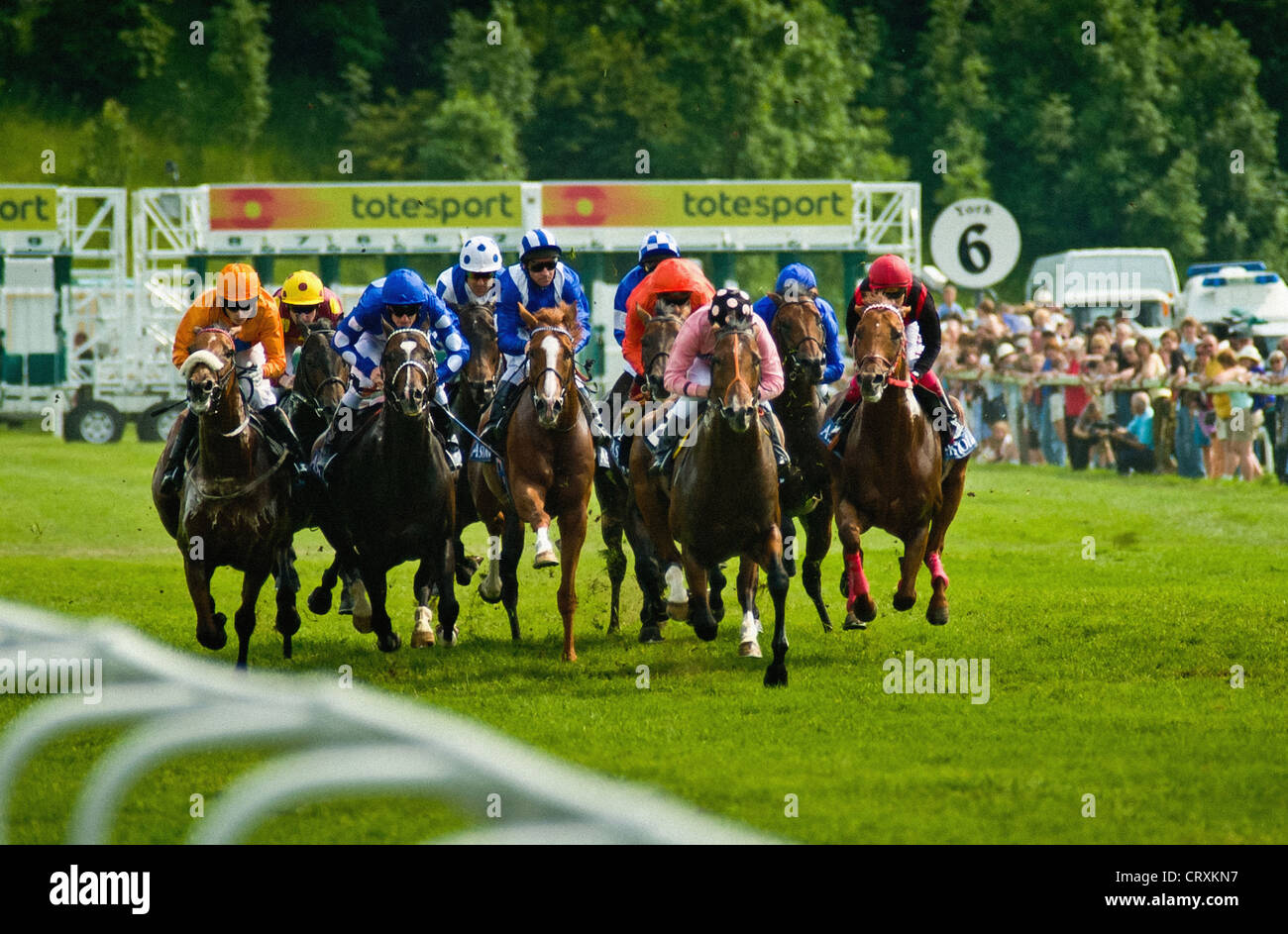 Horse racing york racecourse hi-res stock photography and images - Alamy