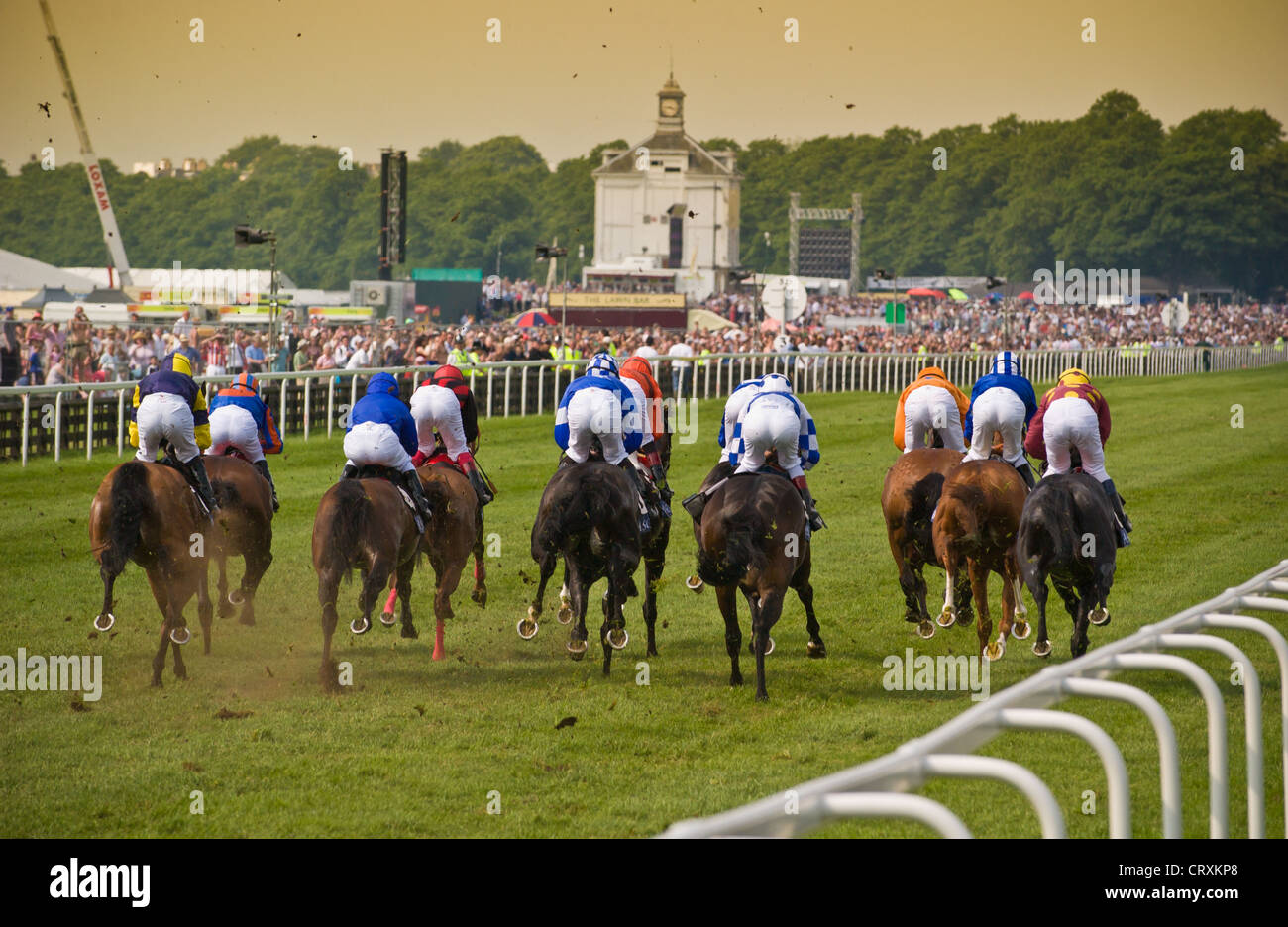 Rear view of horses and jockeys racing at York Racecourse Stock Photo ...