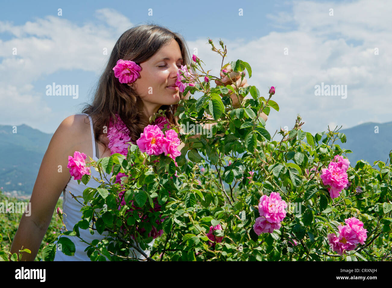 Smell The Roses Titchfield at Brodie Eldershaw blog