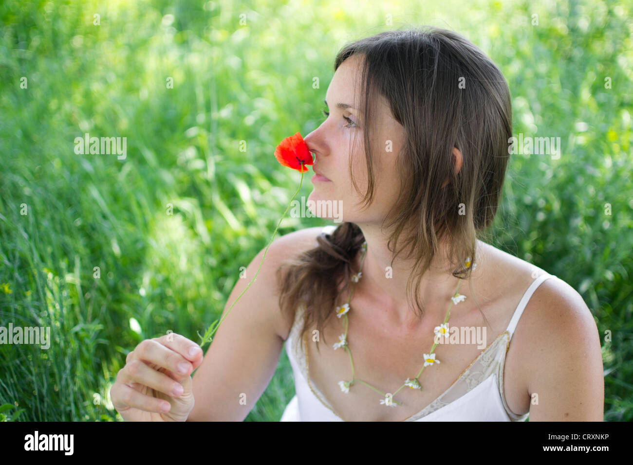 A beautiful young woman holds a poppy to her nose, sitting in a meadow ...