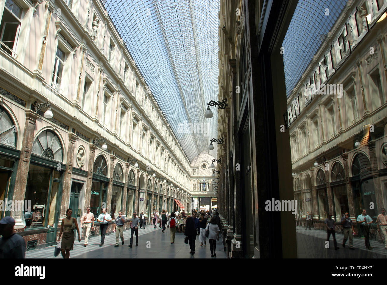 St hubert hi-res stock photography and images - Alamy