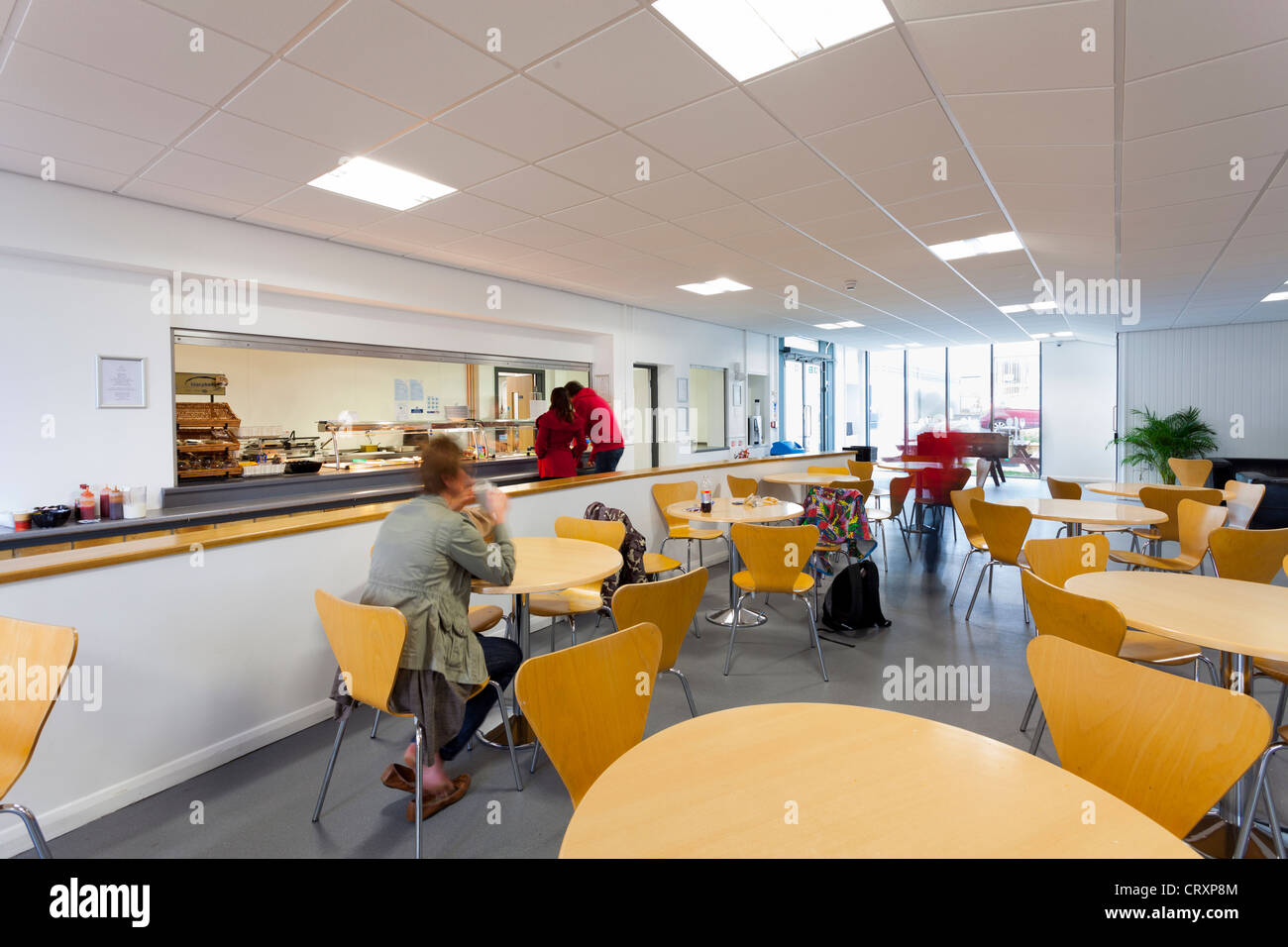 Canteen Design For College