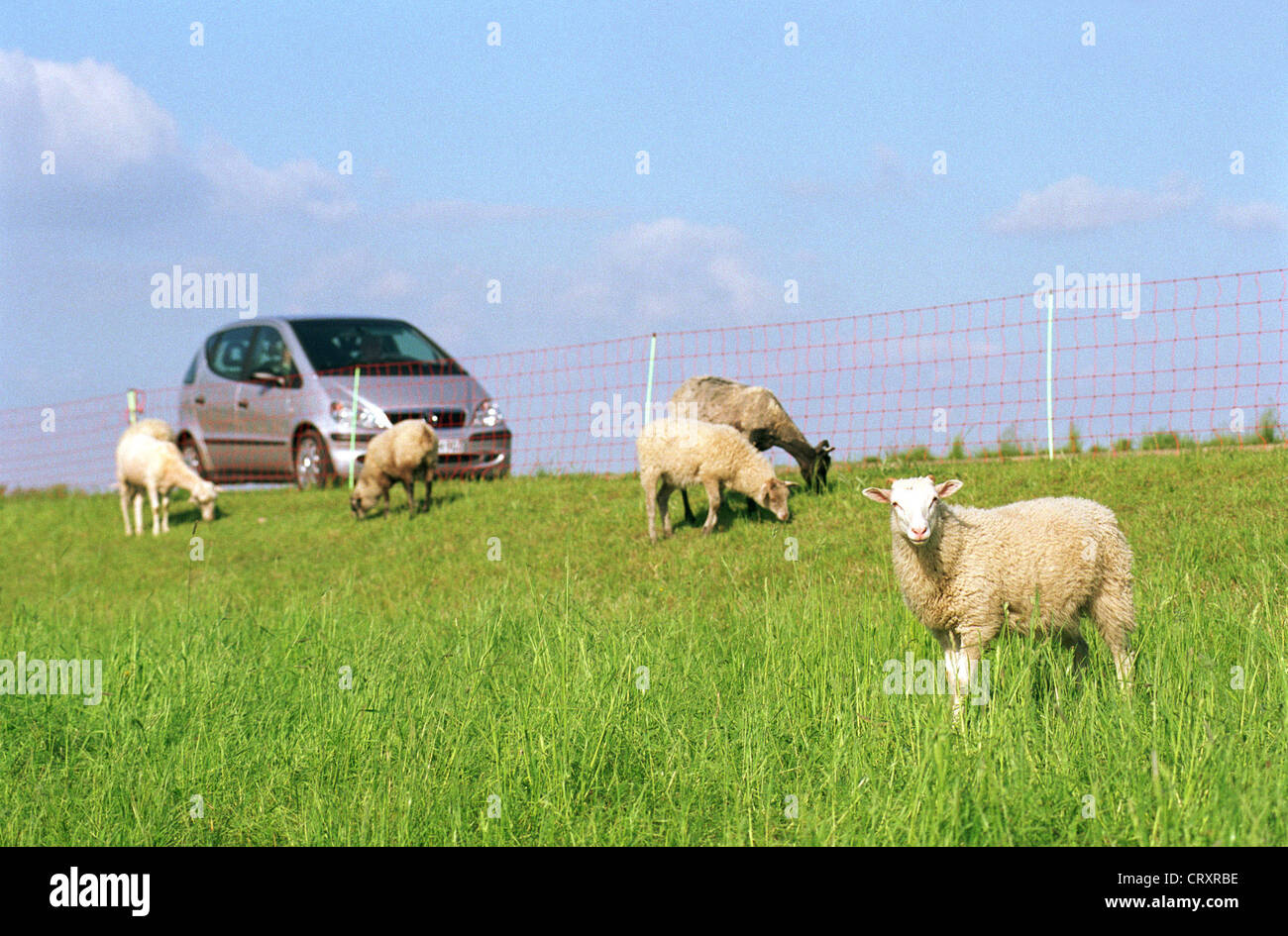 Klassel hi-res stock photography and images - Alamy