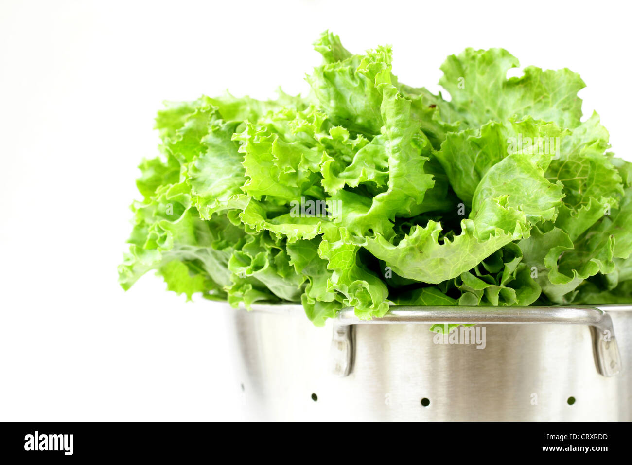 green lettuce in metal colander on a white background Stock Photo - Alamy
