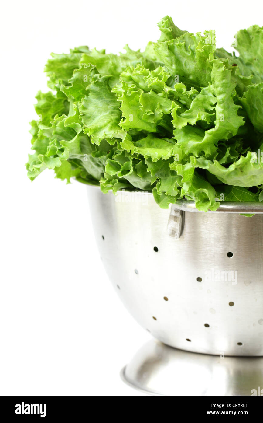 green lettuce in metal colander on a white background Stock Photo - Alamy