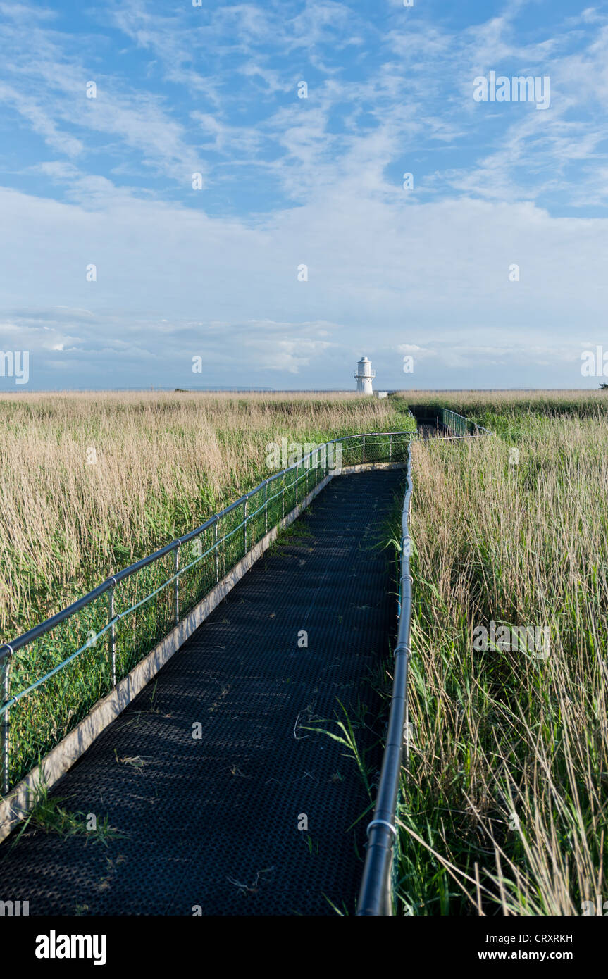 Newport Wetlands, Gwent levels, South Wales Stock Photo - Alamy